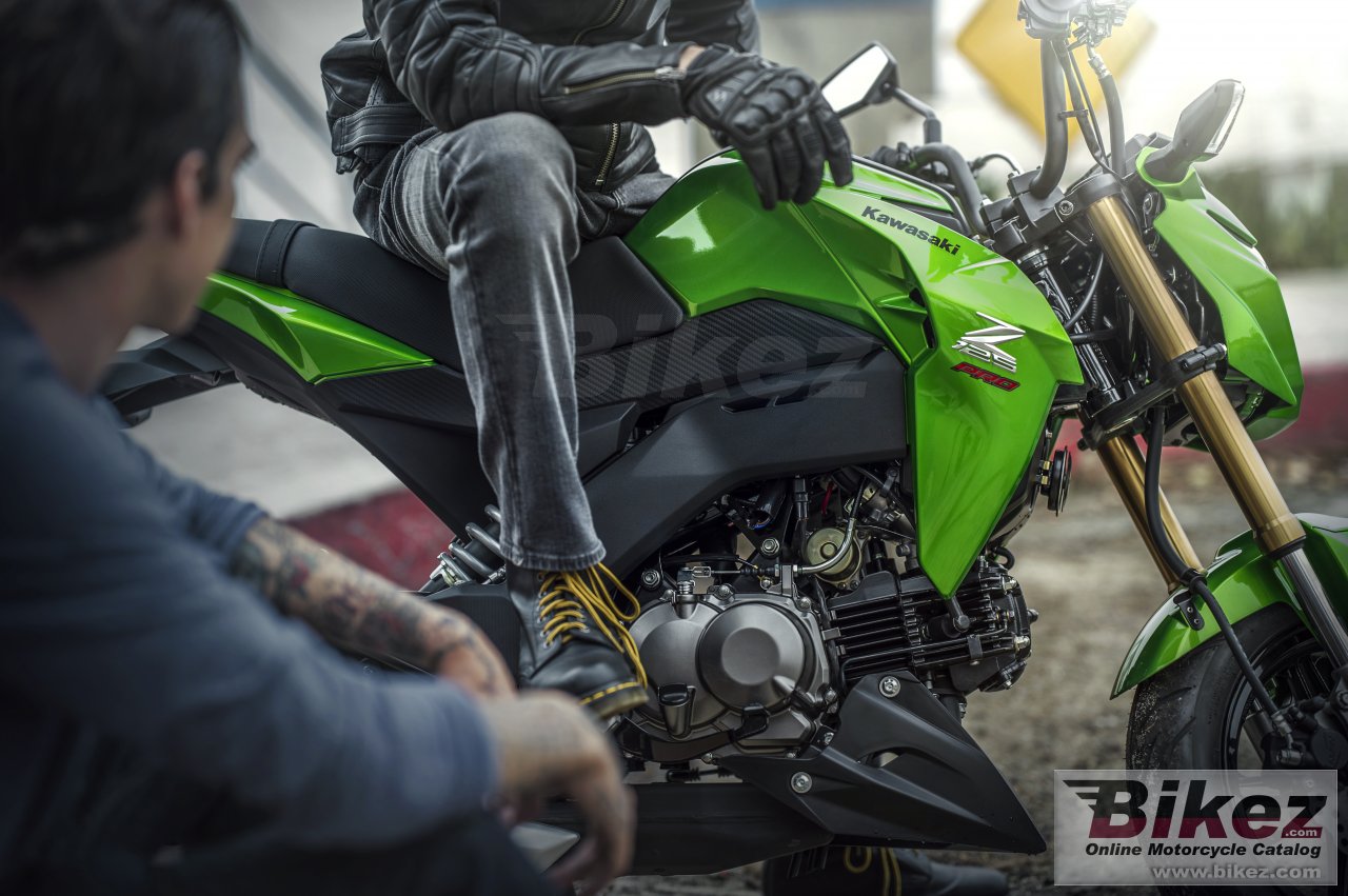 Kawasaki Z125 Pro poster